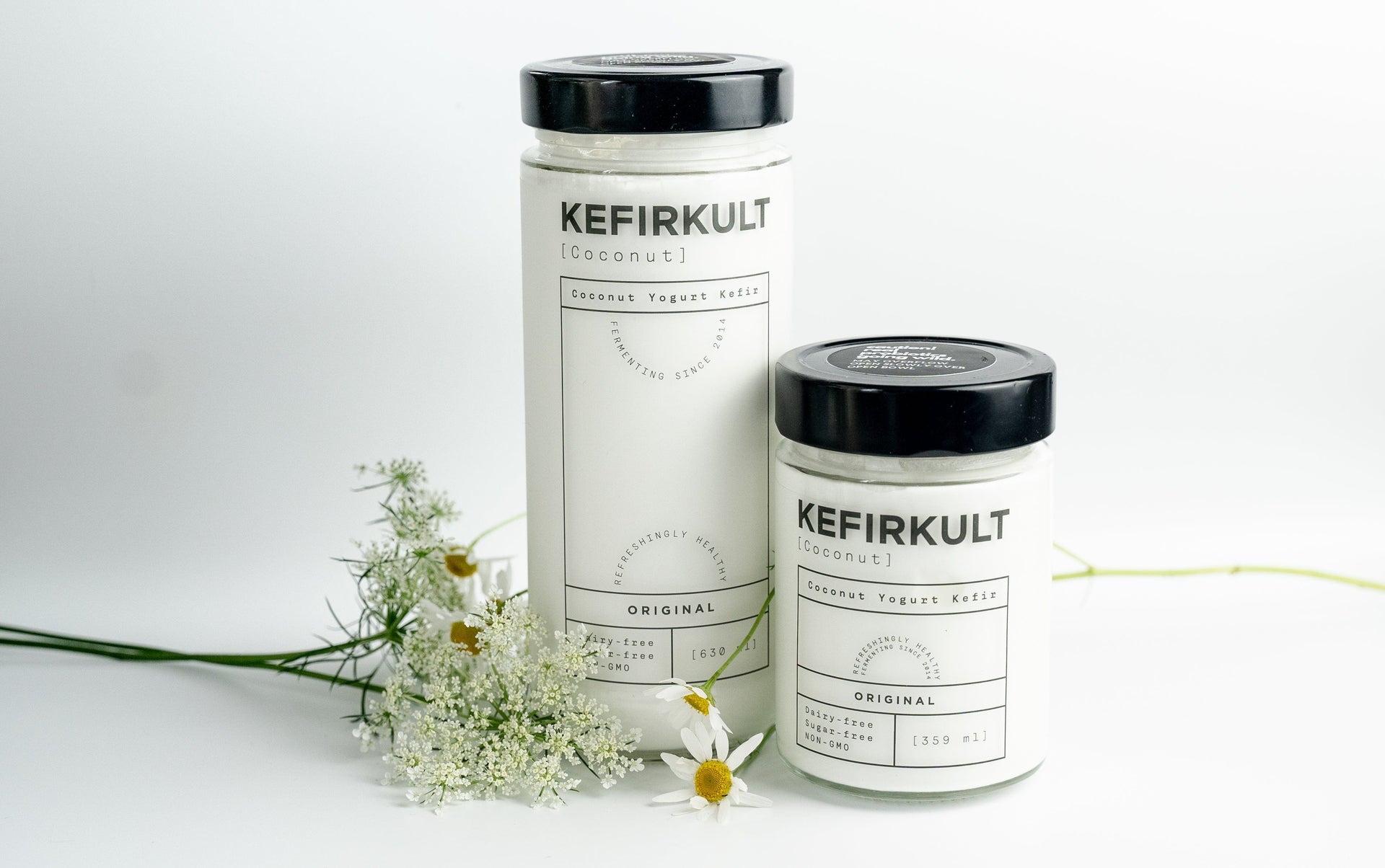 Probiotic Coconut Kefir Yogurt - Guava (Small) - 6 Pack | Kefir ...